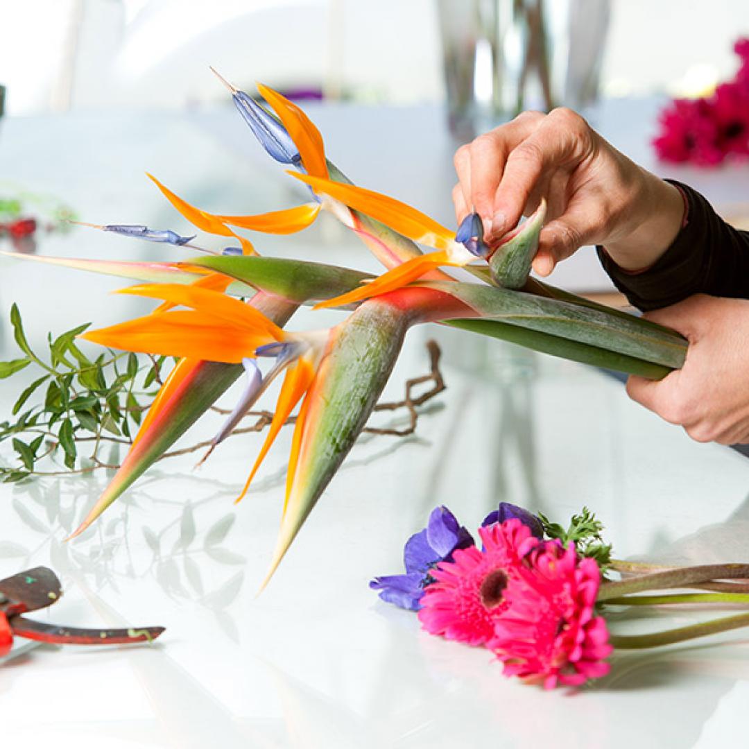 Florist Insurance, Insure Your Business Today | Hiscox UK